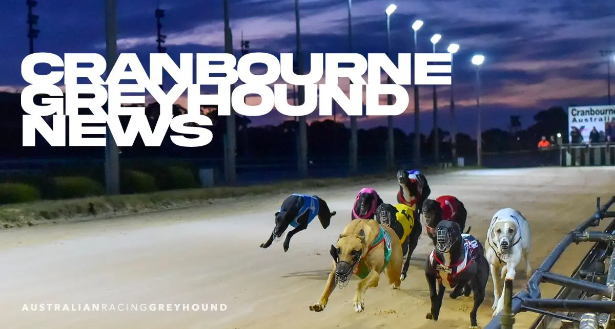 Victorian Government Backs $10m Cranbourne Greyhound Rebuild
