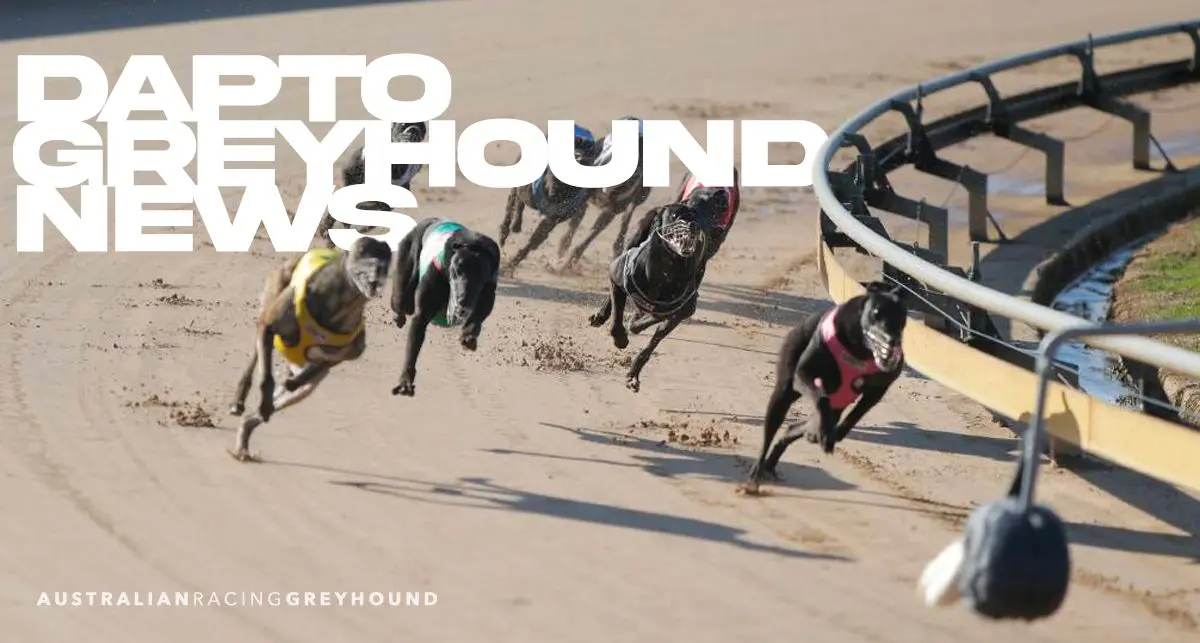 Dapto Dogs Greyhound Racing to End in 2026 After 89 Years