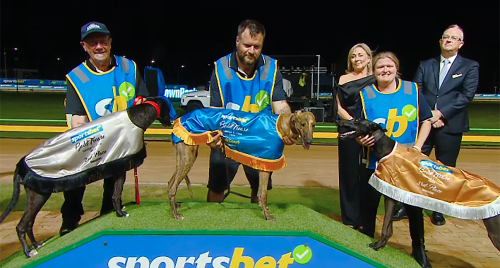 2024 Sale Cup Early Odds: Cayna All Class, Ethanol Water Favoured