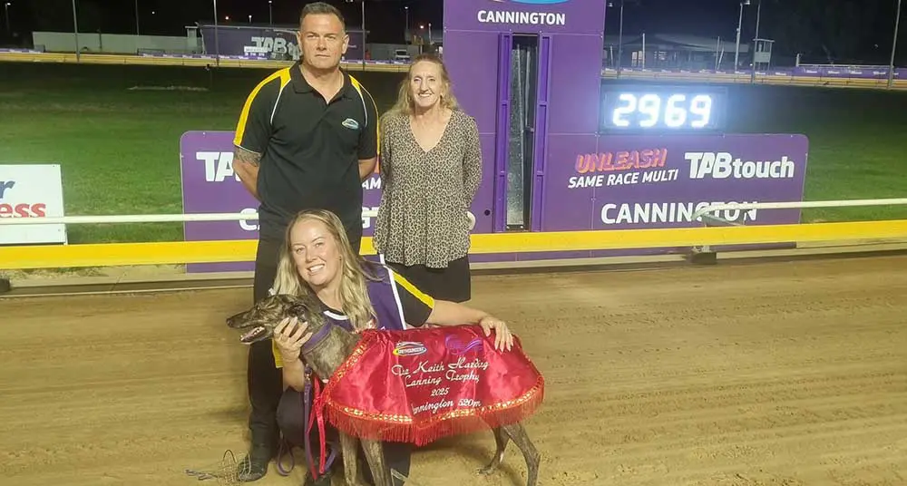 Steve Withers' Strong Hand In Perth Cup With Three Runners