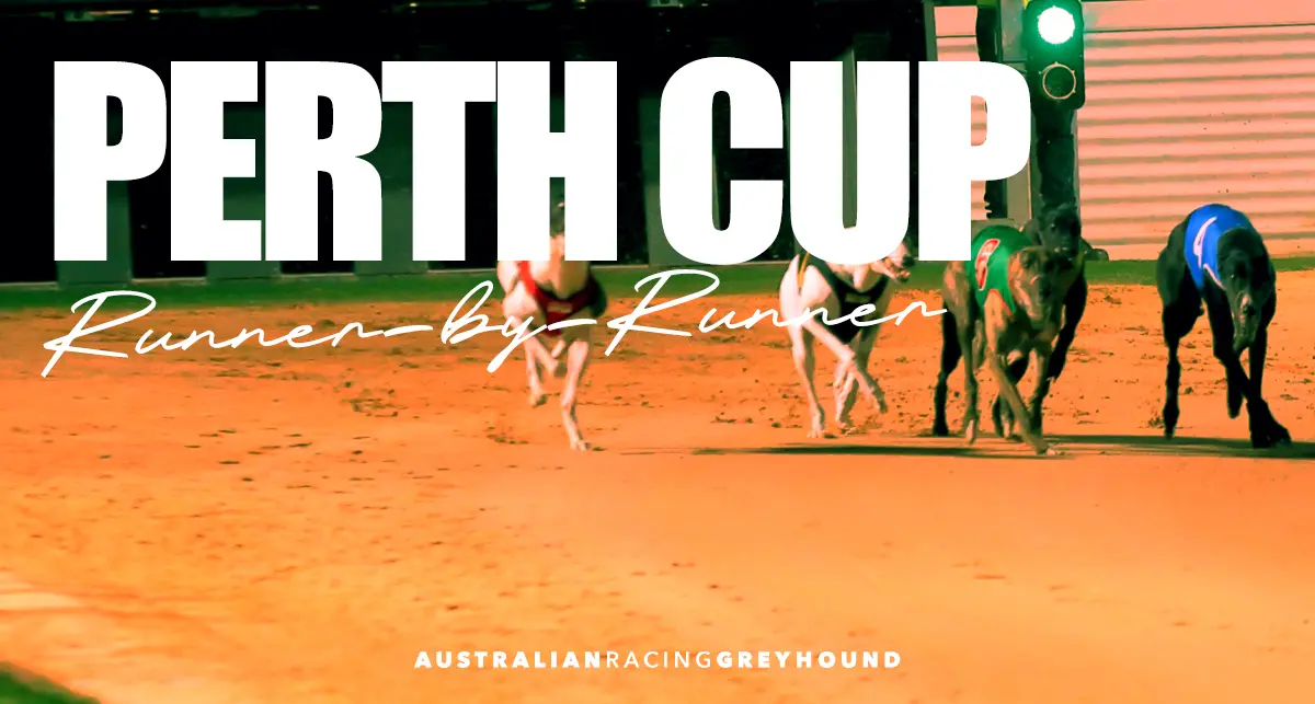 Perth Cup 2025 Betting Tips & Racing Preview | Cannington, 15/3