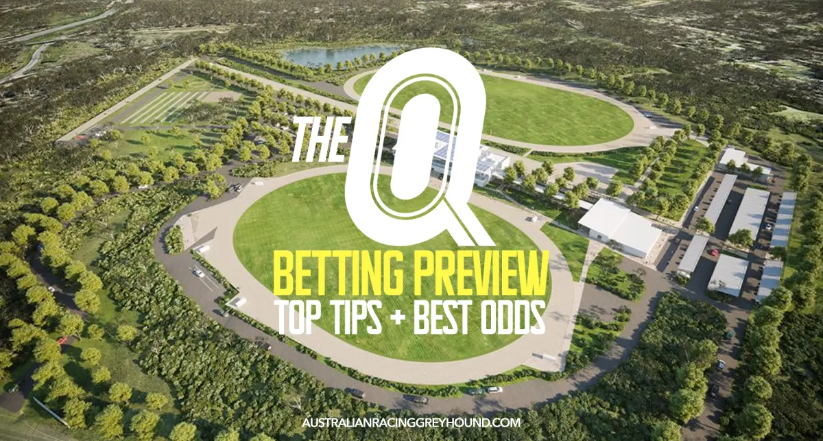 Q1 Lakeside Greyhound Racing Tips & Betting Preview | 20/4/25
