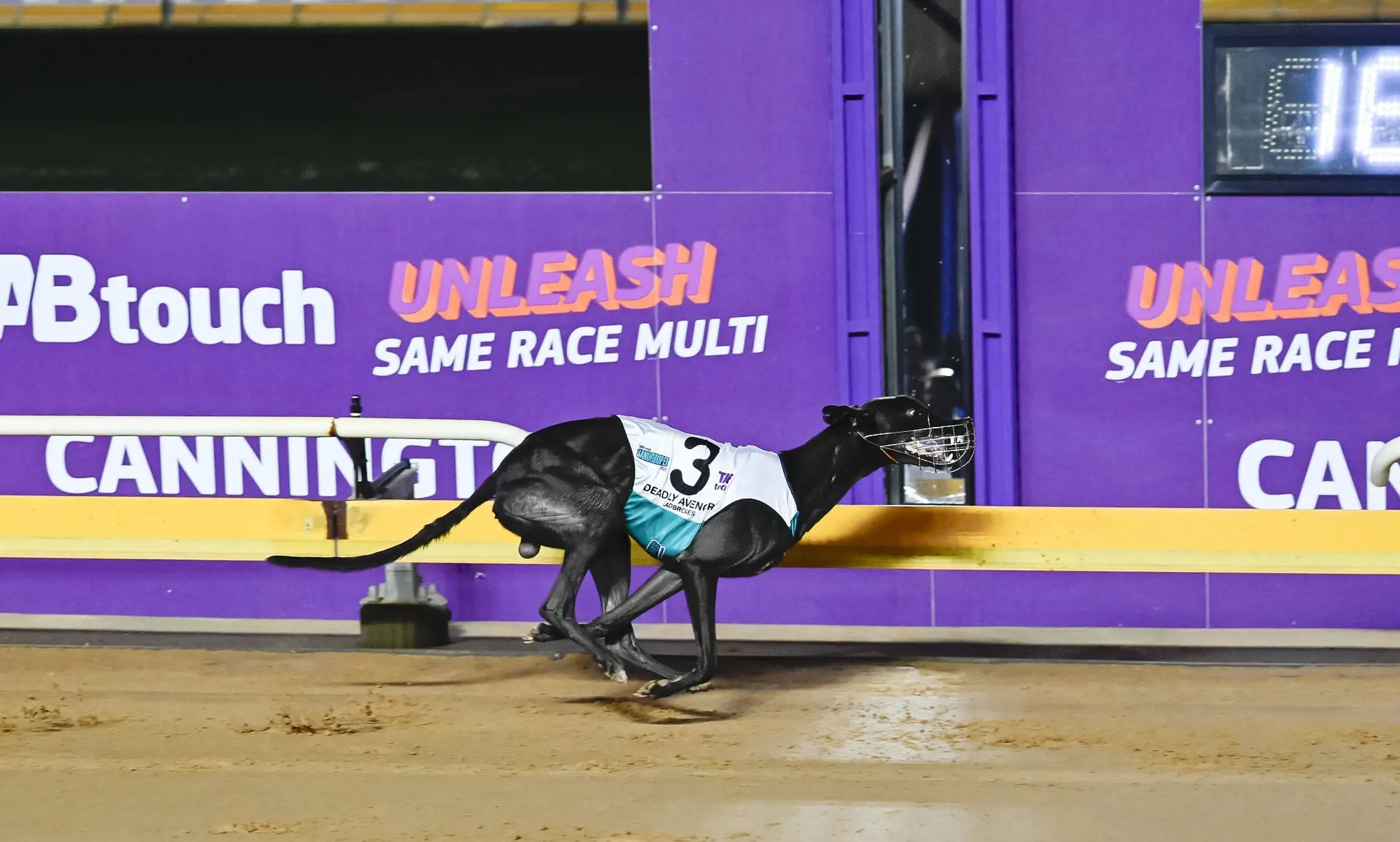 Deadly Avenger Delivers Track Record Victory In 2025 Sandgroper