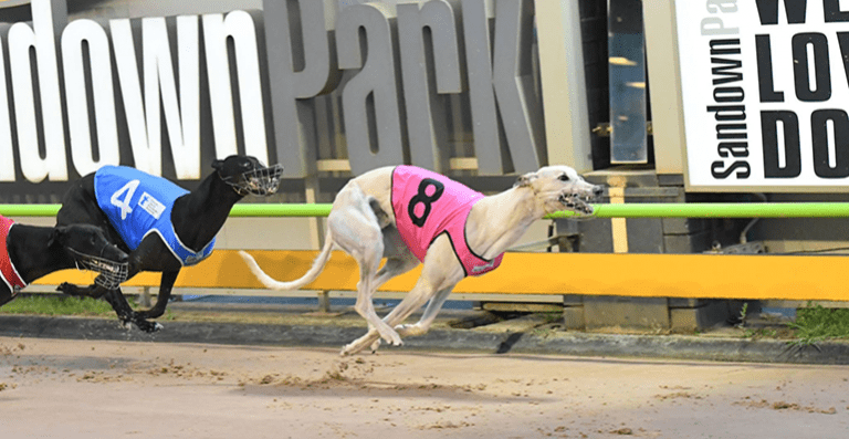 Victorian Greyhound Racing | Tracks | History | Group Races