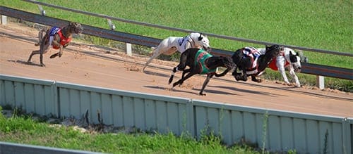 Greyhound racing tracks in Australia - All states race courses