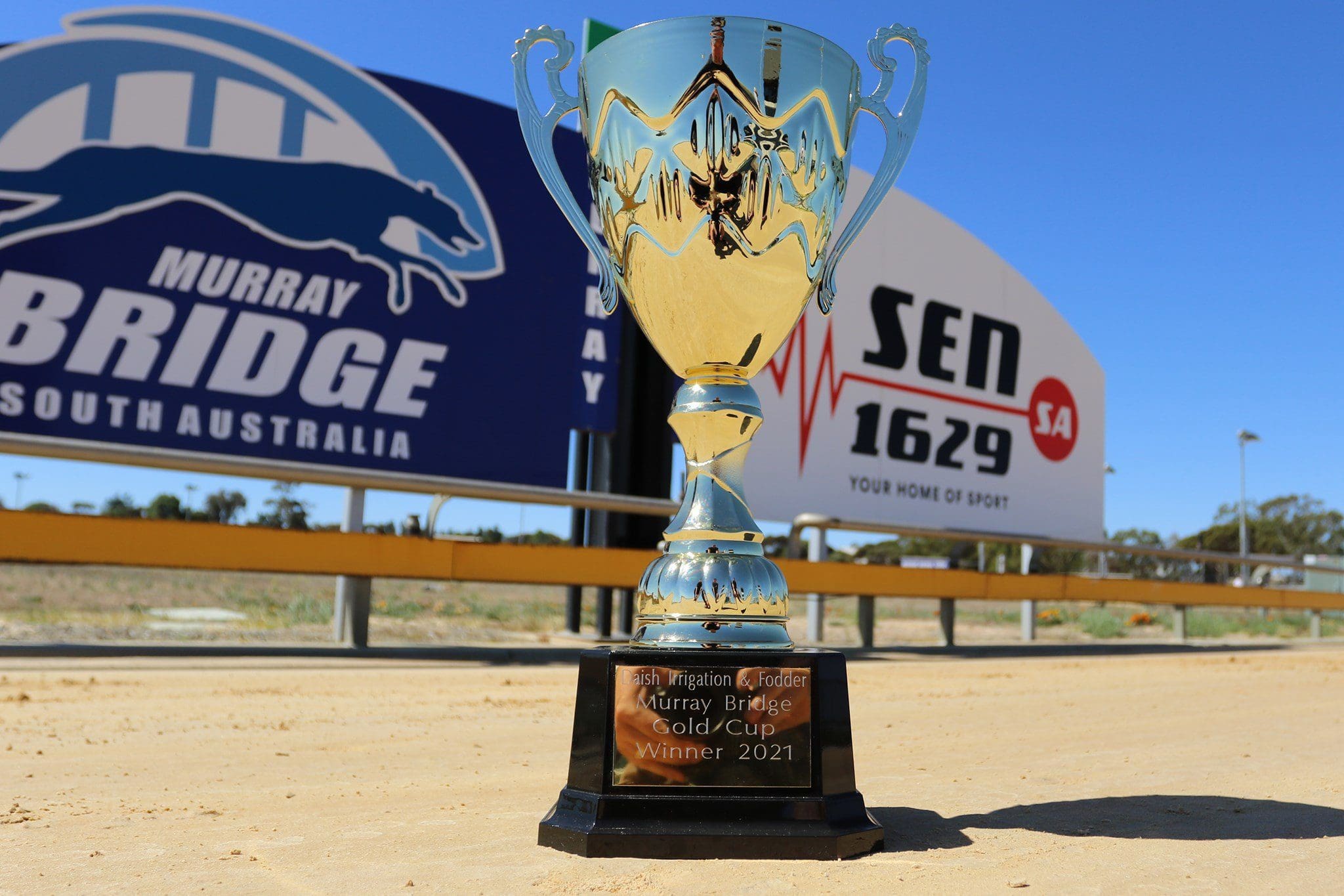 Murray Bridge Cup 2026 Greyhound Betting | News | History | Tips
