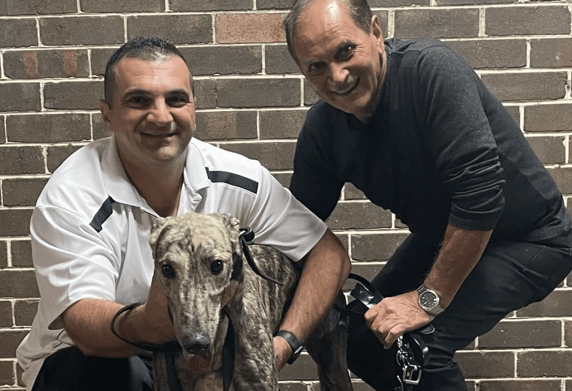 Hardman Cortis puts three on end for trainer James Cortis