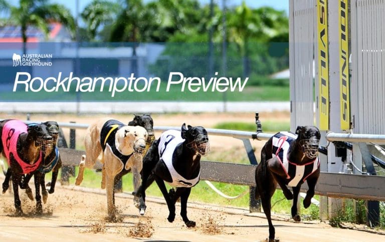 Australian Racing Greyhound — #1 Greyhound News & Tips Service