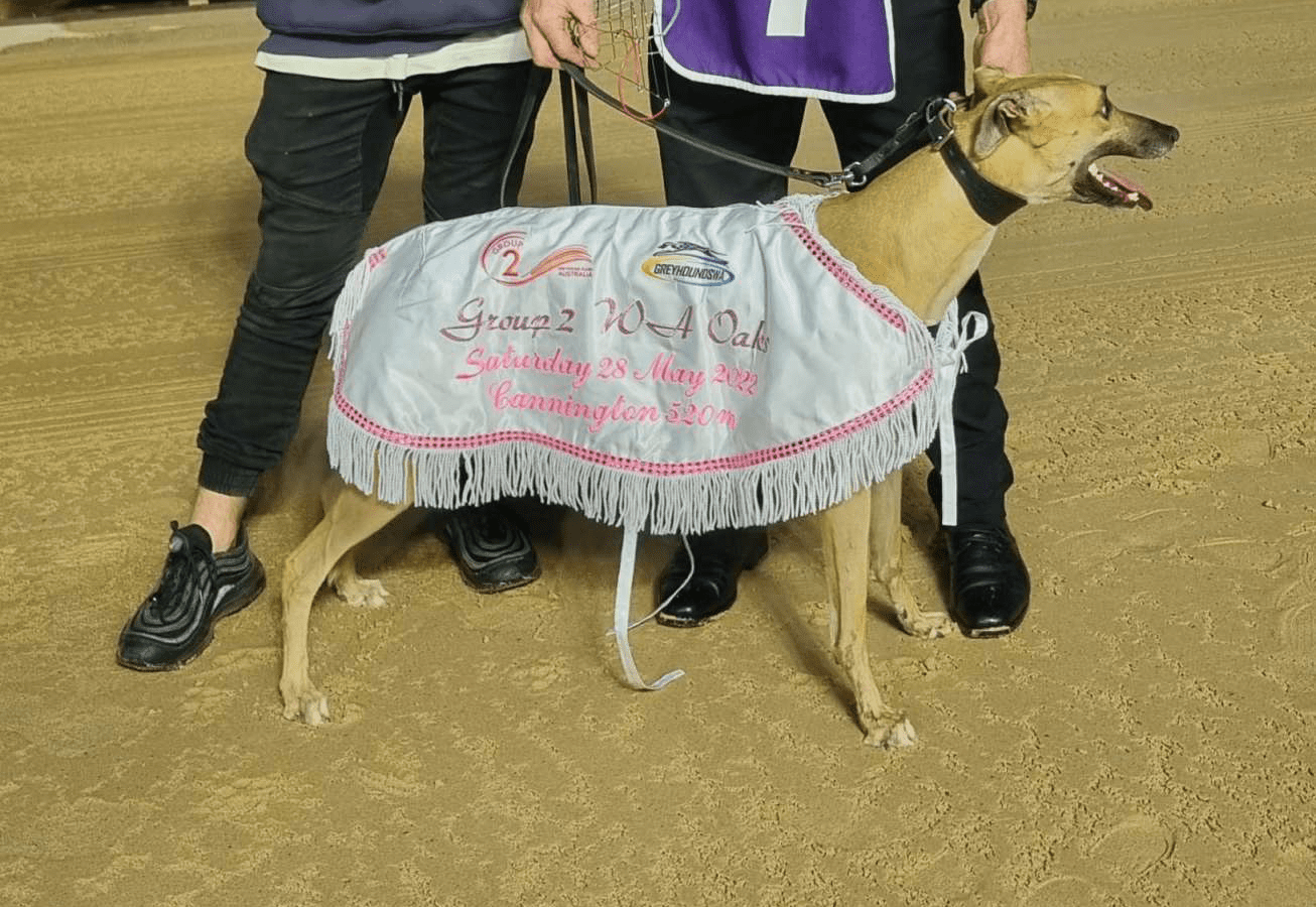 Young Emerging Talent Refined Takes Out 2022 WAOaks Final For Steve ...