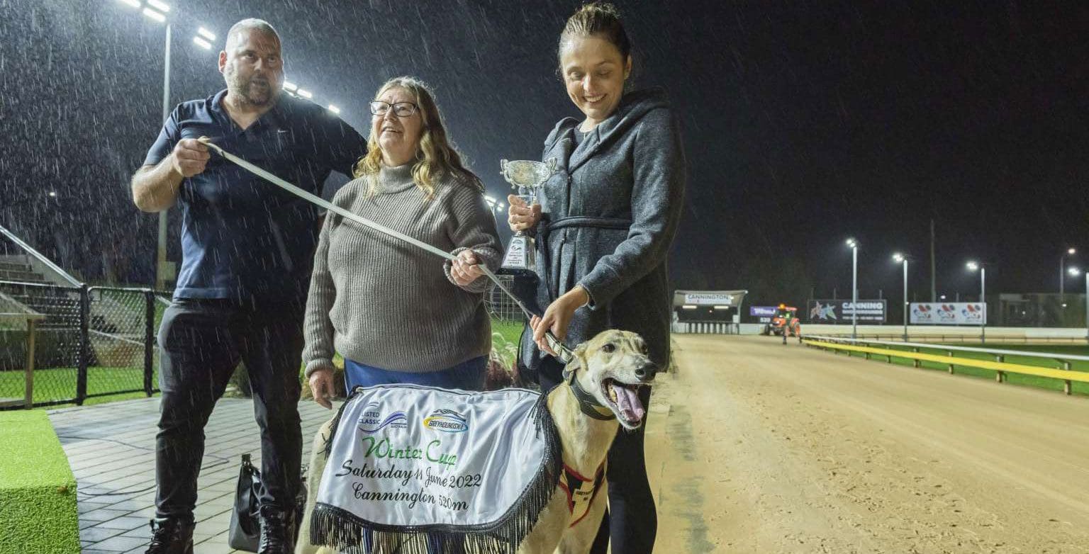 Greyhounds WA Greyhound Racing | Australian Greyhound Racing News & Betting