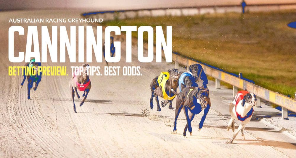 Greyhound Tips For Cannington | Lew Dorsa Final Night 2025
