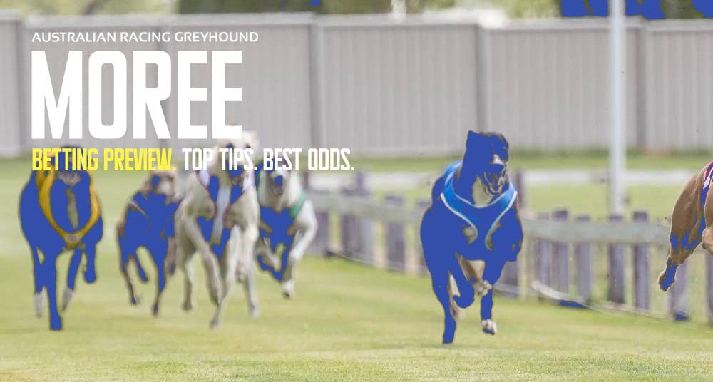 Moree Greyhound Preview & Saturday's Racing Tips | March 23, 2024