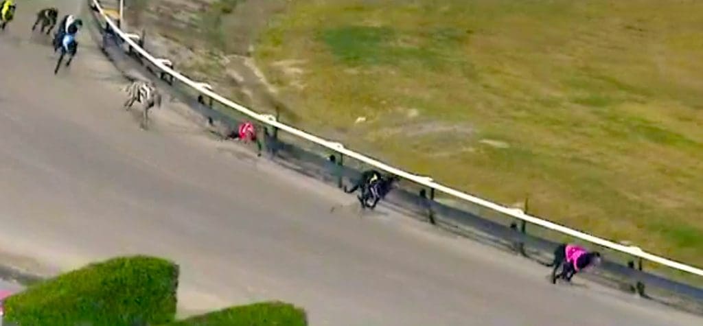 Postman Pat still unbeaten as Amron Boy et al stake Brisbane Cup claim