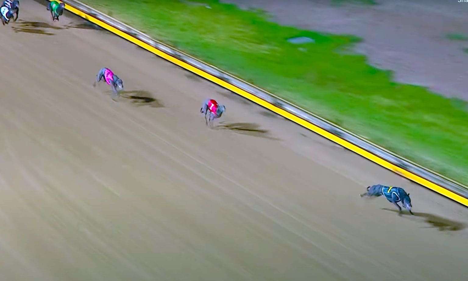 Tim Zoo runs the 10th fastest maiden winning time in history on debut ...