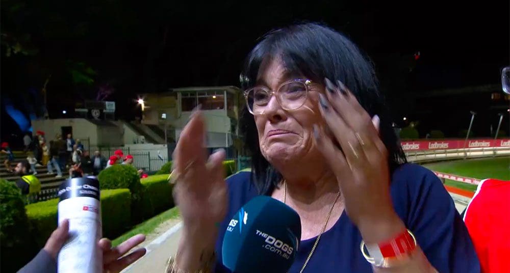 Jay Is Jay scores an emotional Million Dollar Chase family win