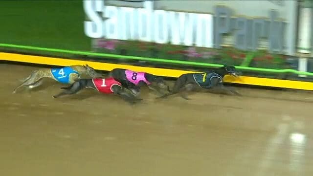 Palawa King Takes Out Bold Trease With Scintillating Run