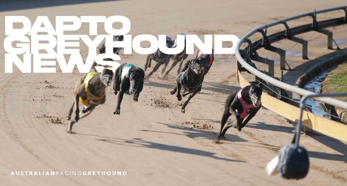 Dapto Dogs Greyhound Racing to End in 2026 After 89 Years