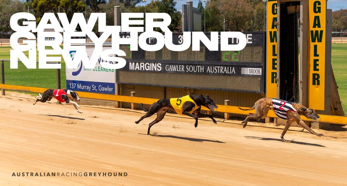 New Safe Chase Lure System Enhances Safety At Gawler Track