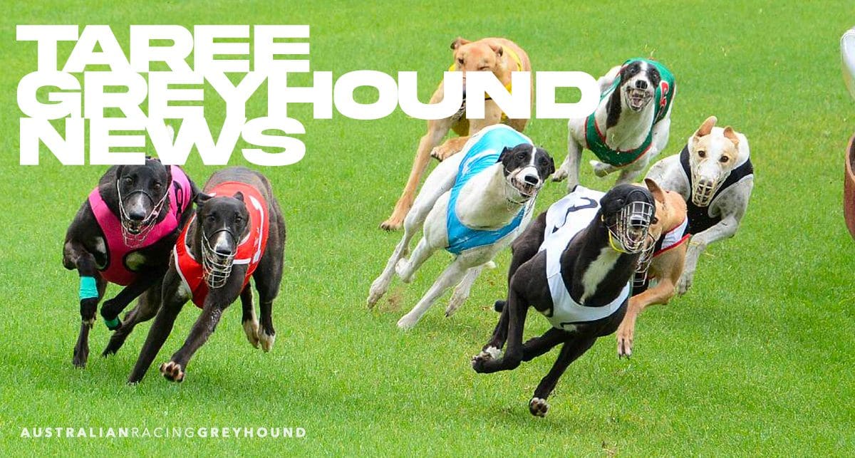 Taree Super Track Reopening: New Features, Expected Date, 8 Month Delay