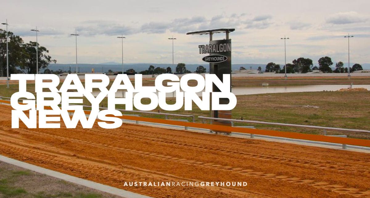 Traralgon Greyhound Racing: Safe Chase Lure Issues Cause Race Cancellations