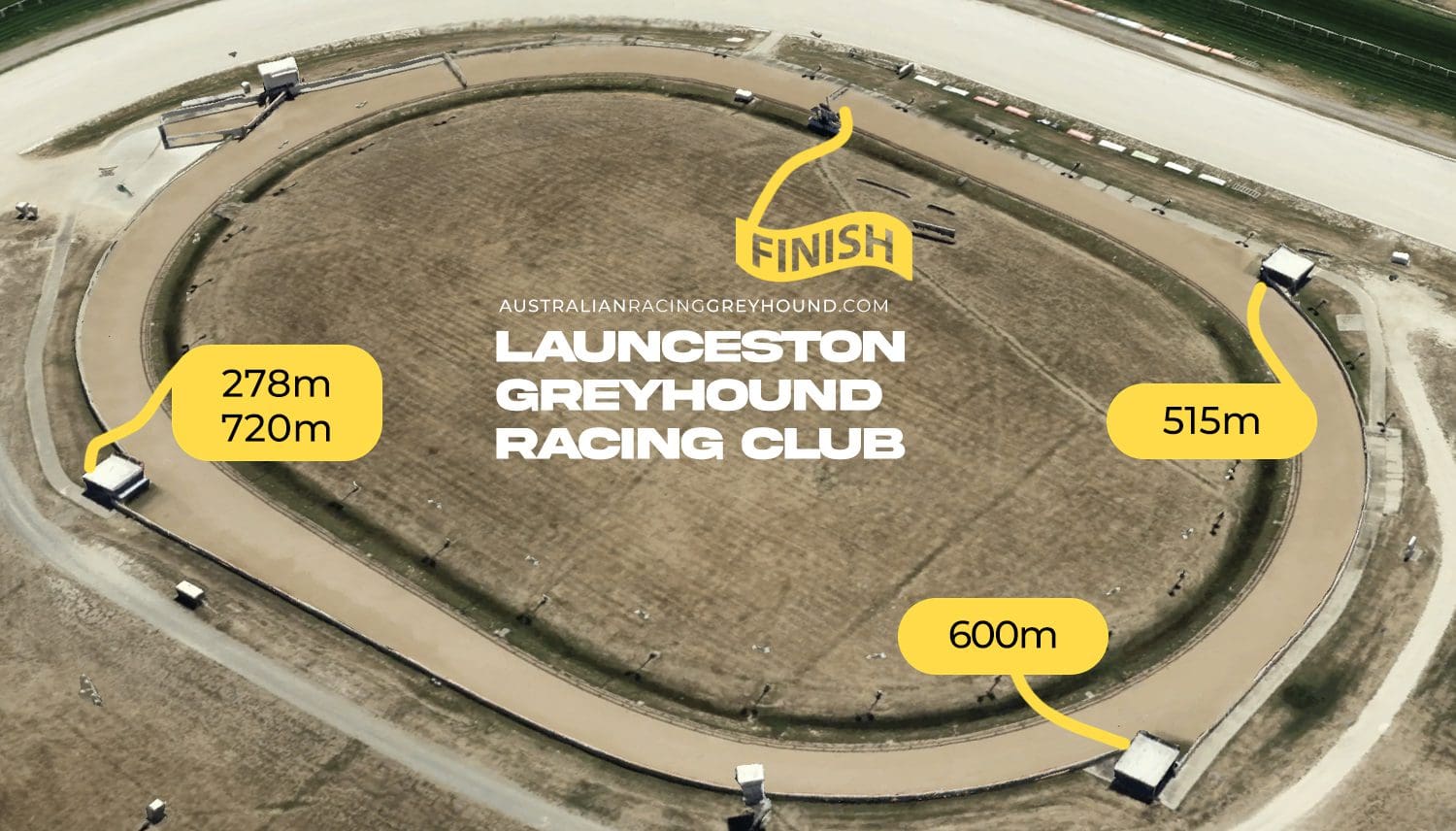 Launceston Greyhound Racing Club | Tips | News | Track Details