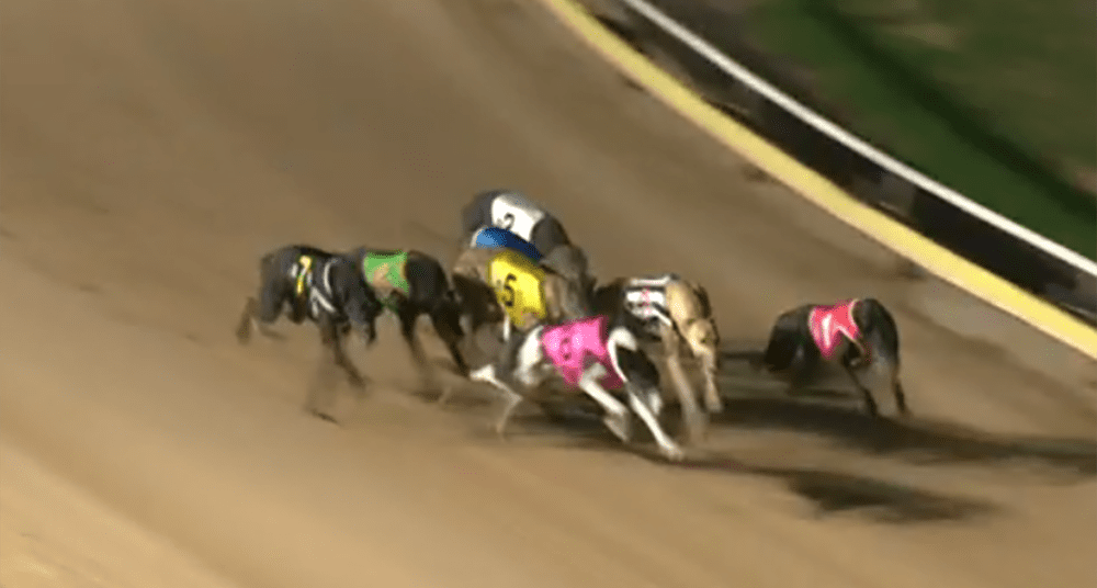 2024 WA Derby: Dave Hobby’s Sneaky Emoji Wins Group 2 Race