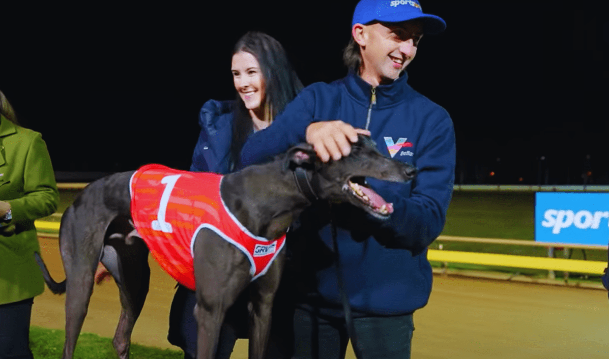 Explicit’s Return To Racing Delayed After Late Scratching