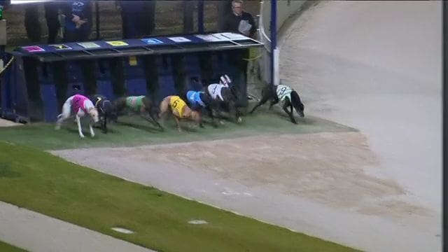 2024 National Sprint Championship Final: Top Contenders & Wildcards ...