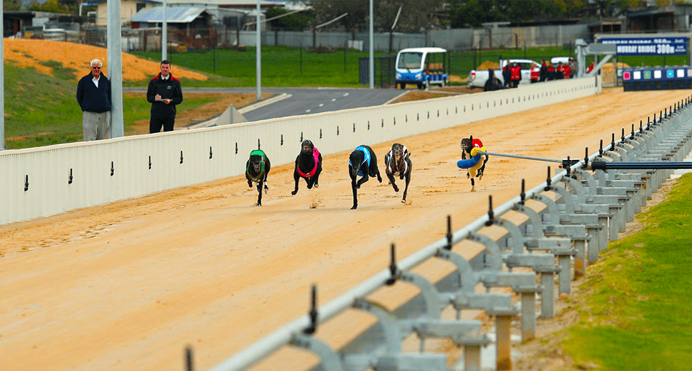2024 National Straight Track Championship: Stadiums Out & Faces 4 Week Ban