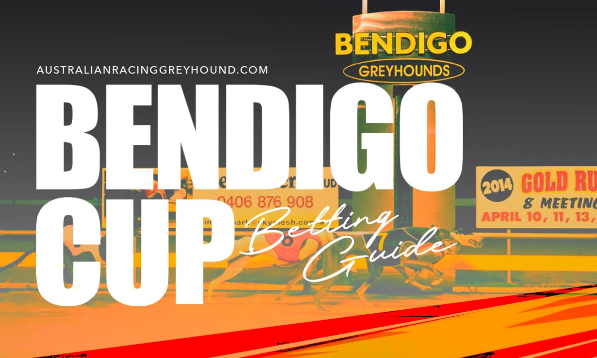 Bendigo Cup Betting 2025 | Field | Odds | Tips | News | Results