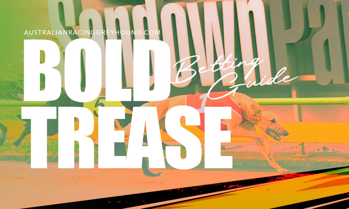 Bold Trease 2025 Betting | Odds | Race History | Honour Roll