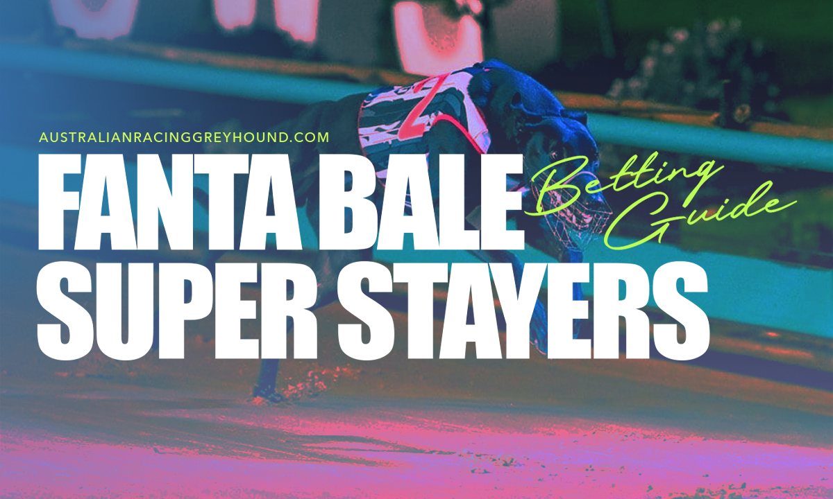 Fanta Bale Super Stayers Betting | History | News | 2026 Odds