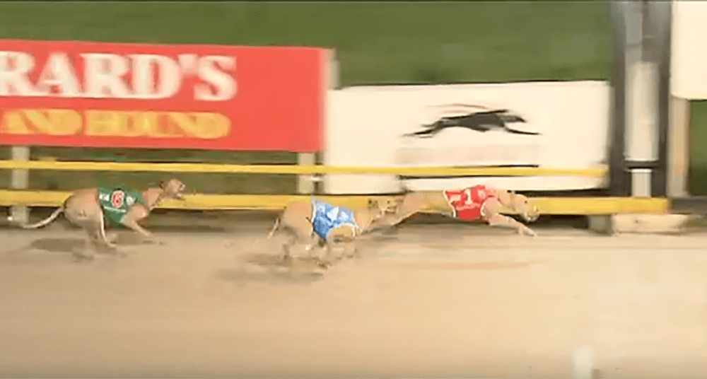 Nangar Gypsy Claims Group 1 Golden Sands Glory For Dennis Barnes