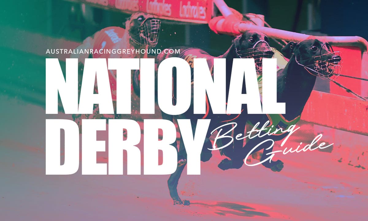 2026 National Derby Betting Guide | Results | News & Tips | Odds