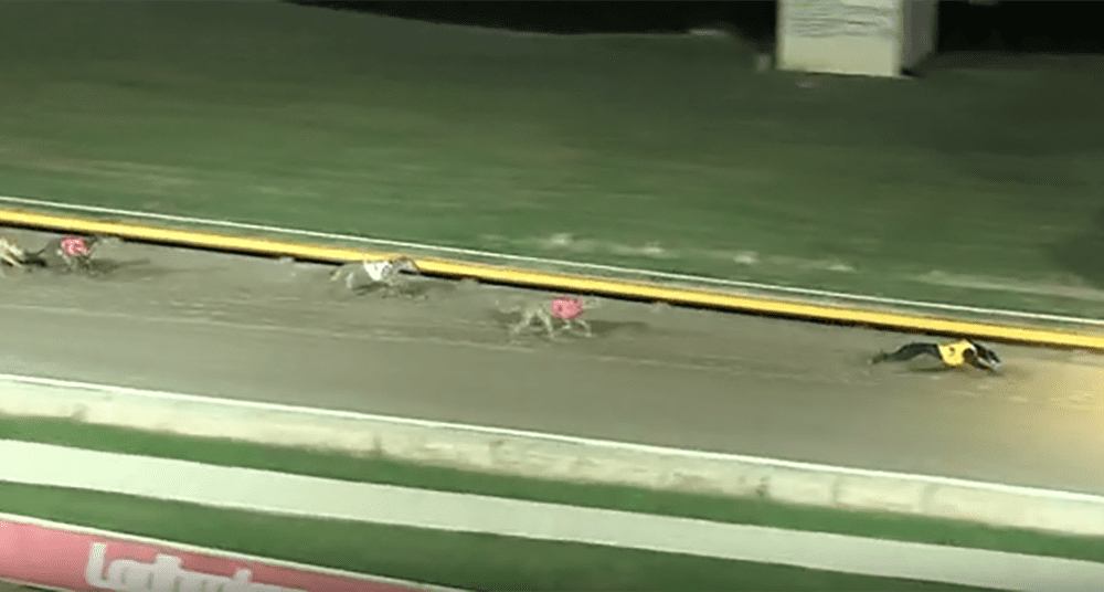 Ferness Secures First Group 2 Victory In Richmond Derby
